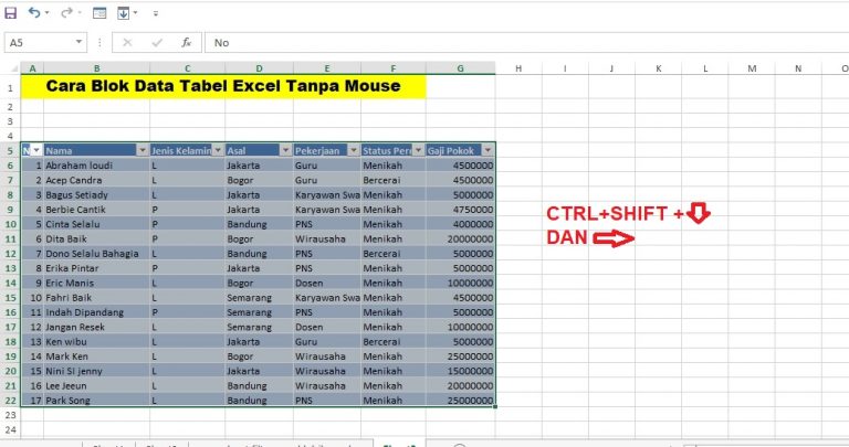 Cara Blok Data Tabel Excel Tanpa Menggunakan Mouse – Kusnendar